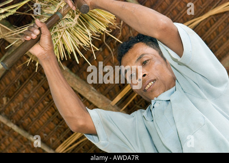 Farmer flailing rice ears, Koh Kong Province, Cambodia Stock Photo - Alamy