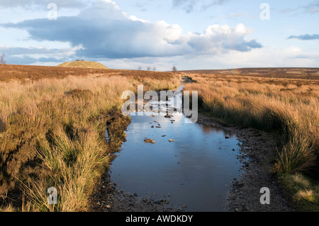 "Moss Road" Public Bridleway at Totley Moss in Derbyshire "Great ...