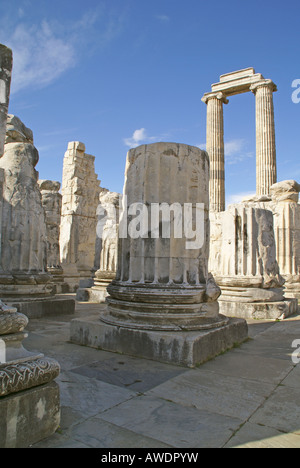 The ruins of the Temple of Apollo at Didyma ancient greek city. Didyma ...