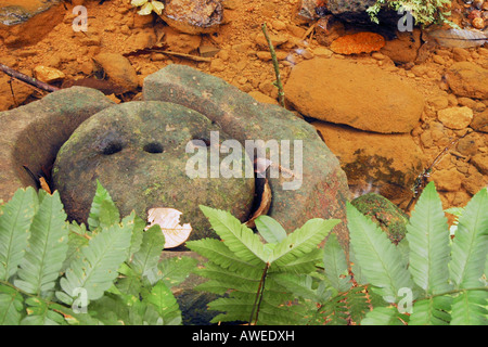 Artifact grinding stone in small creek, Panama Stock Photo - Alamy
