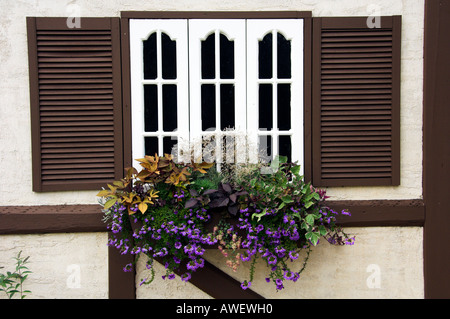 The window boxes in "Grandma's Cottage" in the English Gardens of ...