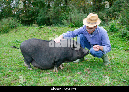 German farmer cuddling with pot-bellied pig, Upper Bavaria, Bavaria ...