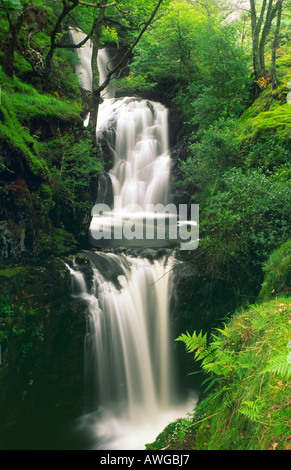Waterfall Buchan Burn in the Galloway Forest Park Stock Photo - Alamy