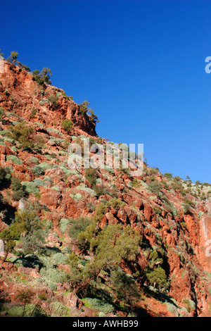 Morocco Central Morocco The Ouzoud Gorge The hills of the gorges of ...