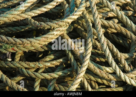 coiled jumble of rope Stock Photo - Alamy