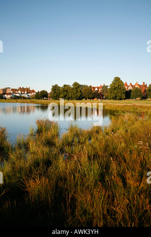 Rushmere Pond on Wimbledon Common, SW London England UK Stock Photo - Alamy