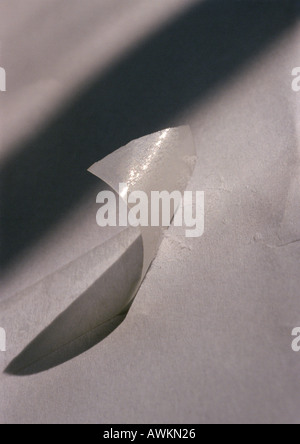 White paper texture. No dust. Art paper background hi res Stock Photo ...