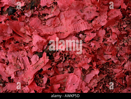 Vibrant red shredded paper texture for crafts, background design, and ...
