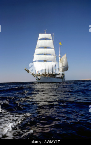 Three-mast sailing ship Amorina, Red Sea Stock Photo - Alamy