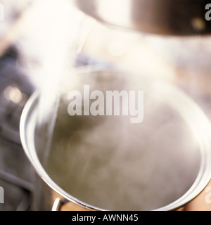 Pot of stew cooking on stove Stock Photo - Alamy