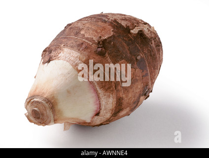 Fresh organic taro root vegetables for sale at an outdoor fresh food ...