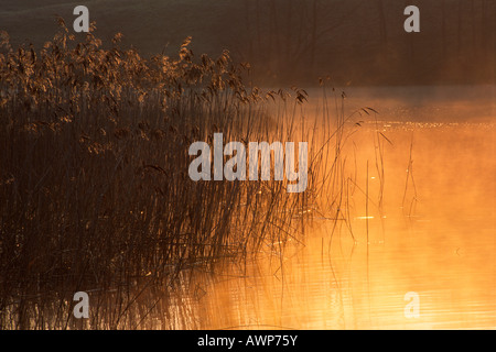 Sunrise over Krummsee (Krumm Lake), North Tirol, Austria, Europe Stock ...