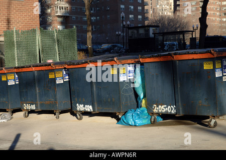 Dumpsters behind building Stock Photo - Alamy