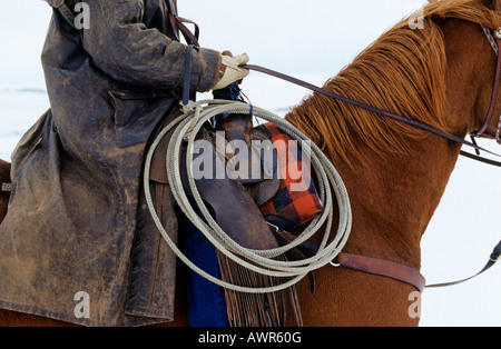 Cowgirls with lasso Stock Photo - Alamy