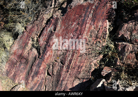 Slickensides on a fault surface Stock Photo - Alamy