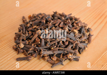 Close up of cloves,Syzygium aromaticum in a plate with its powder in a ...
