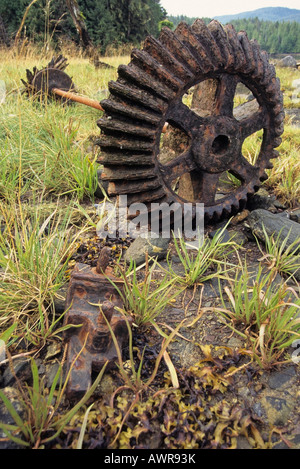 Old logging equipment on coastal estuary Work Channel BC Stock Photo ...