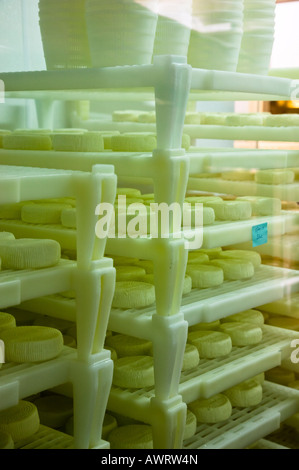 Goat Cheese factory Salt Spring Island, BC, Canada Stock Photo - Alamy