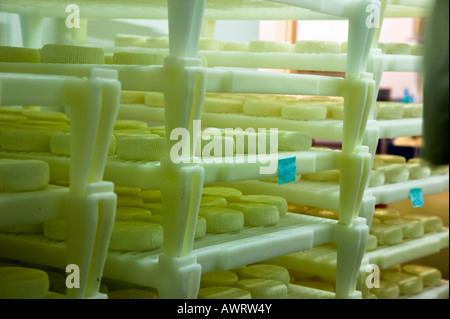 Goat Cheese factory Salt Spring Island, BC, Canada Stock Photo - Alamy