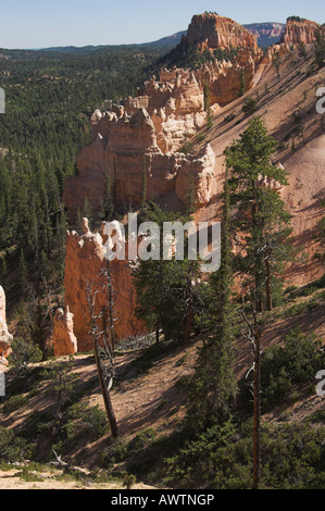 Bryce Canyon from Swamp Canyon Viewpoint, Utah Stock Photo - Alamy