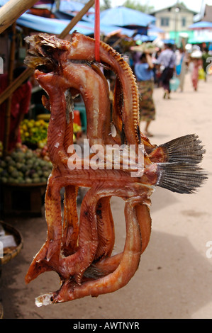 Myanmar, Bago, Market, Fish Stock Photo - Alamy
