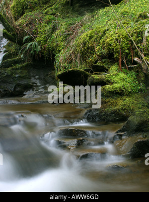 Waterfall, Glendaruel, ARGYLL, SCOTLAND Stock Photo - Alamy