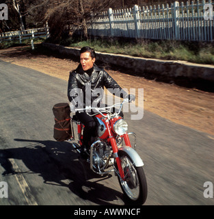 ROUSTABOUT, Elvis Presley, 1964 Stock Photo - Alamy