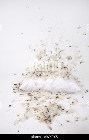 exploding feather pillow Stock Photo - Alamy