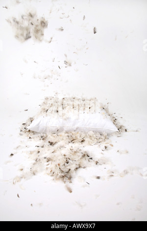 exploding feather pillow Stock Photo - Alamy