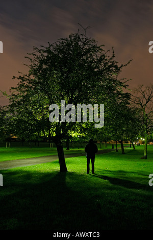 man stood under a tree in a park at night looking out towards a path ...