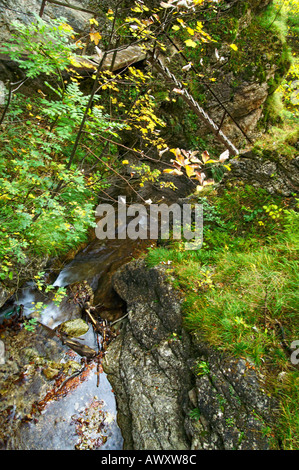 Colourful forest of autumnal Horne Diery Gorge, Mala Fatra mountain ...