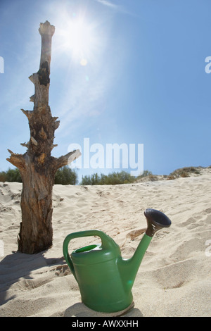 A dry dead tree trunk near the river Stock Photo - Alamy