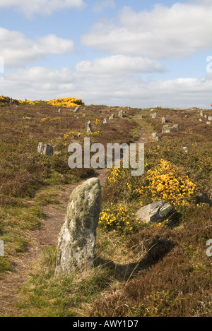 dh HILL O MANY STANES CAITHNESS SCOTLAND Stone rows on hillside ...
