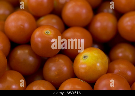 Pile of fresh red ripe tomatoes isolated on white background Stock ...