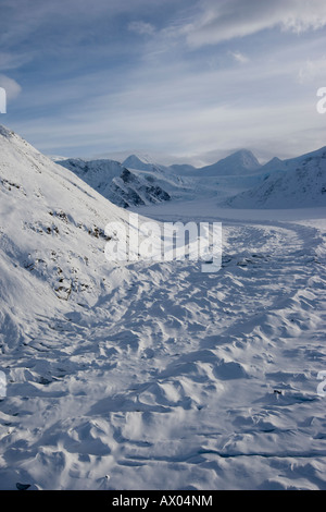 Aerial view of Matanuska Glacier State Recreation Area in Alaska. High ...