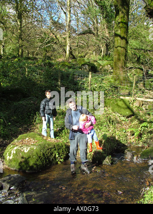 Woodland Gwaun Valley Stock Photo - Alamy