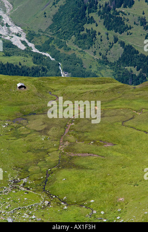 Alm, Almwiese, Hohe Tauern, Hütte, Stall, Wiese, Grün, saftig, Sommer ...