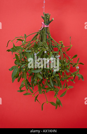 Hanging the Mistletoe Stock Photo - Alamy