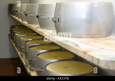 Making organic Parmesan Cheese Shaping the cheese Italy Stock Photo - Alamy