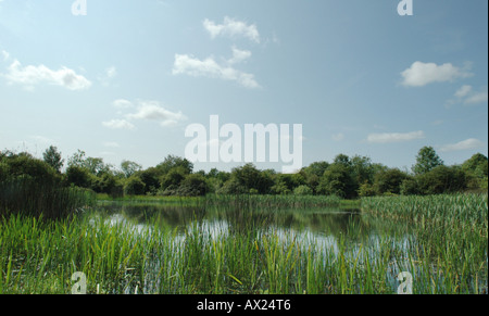 Pingo trail at Stow Bedon Thompson Norfolk UK Stock Photo - Alamy
