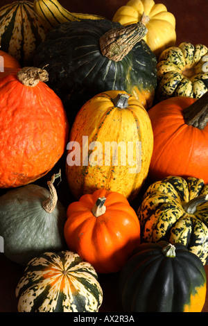 Pile of assorted squash Stock Photo - Alamy
