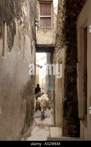 Old Stone Town, Lamu, Kenya Stock Photo - Alamy