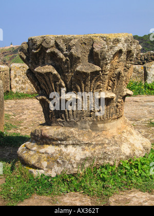 Detail of a Roman column at archaeological site of ancient Kourion ...