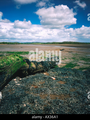Lawrenny Quay - Pembrokeshire Stock Photo - Alamy