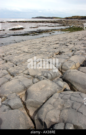 Limestone rock wave-cut platforms on a beach at Point Peron with algae ...