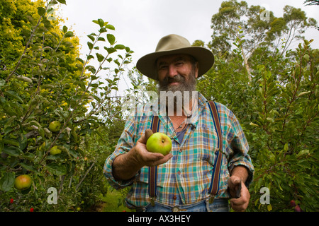 Apple Orchardist in Southern Tasmania Stock Photo - Alamy
