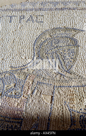 gladiator mosaic kourio curium kourion cyprus roman archaeological site ...