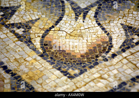 mosaic house of eustolios kourion kourio curium cyprus ancient ...