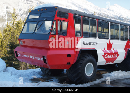 Glacier bus, Ice Explorer, Banff National Park, Alberta, Canada Stock ...