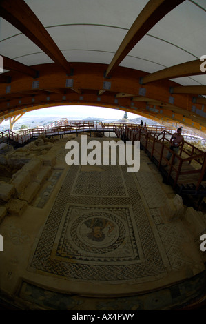 mosaic house of eustolios kourion kourio curium cyprus ancient ...